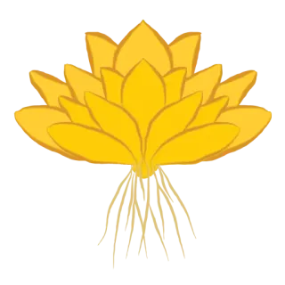 Dr. Lisa DeFusco Ancira, alternative pediatrician in New Orleans